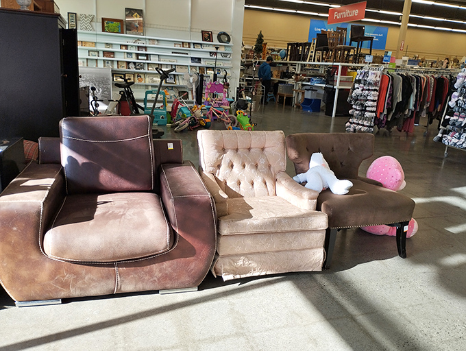 The furniture section: where these chairs aren't just seating options, they're time machines to different decades of design.