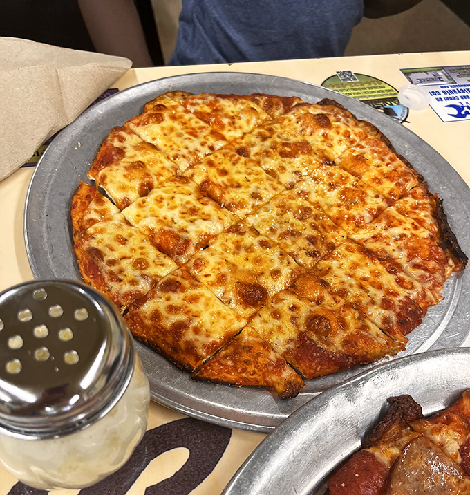 The cheese pizza&mdash;a masterclass in restraint. When your fundamentals are this good, you don't need to show off with fancy toppings.
