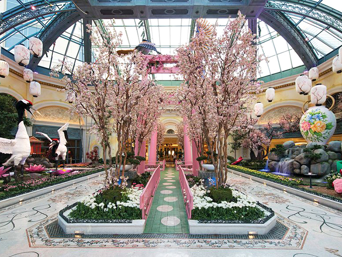 Cherry blossoms create a pink canopy so convincing you'll check your phone to see if you've somehow teleported to Kyoto.
