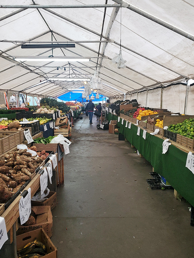 Under this vast white tent, produce vendors arrange their harvests with the precision of gallery curators, creating a farmers' market within the flea market.