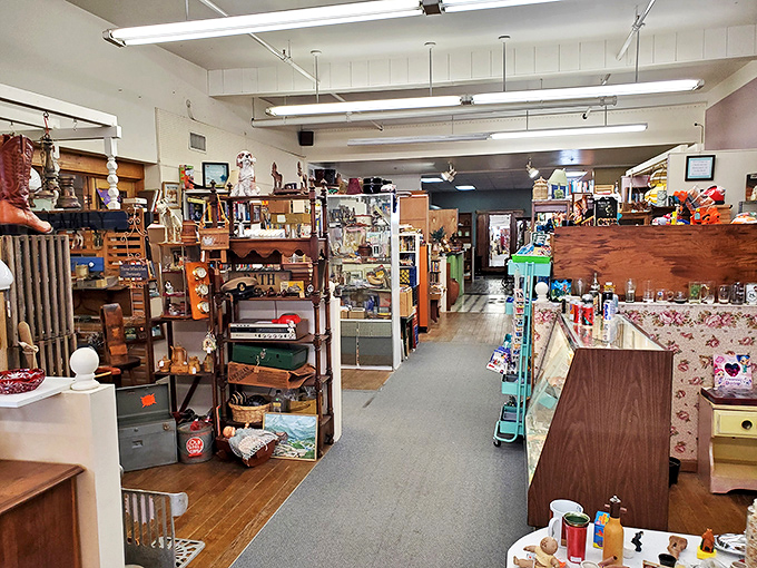 Aisles that stretch like chapters in a novel, each booth a different genre in this anthology of American material culture.