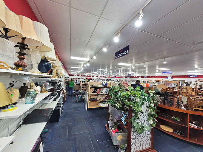 Vintage lamps illuminate shelves of yesterday's electronics and tomorrow's conversation pieces. That ceramic planter might be exactly what your living room has been missing.