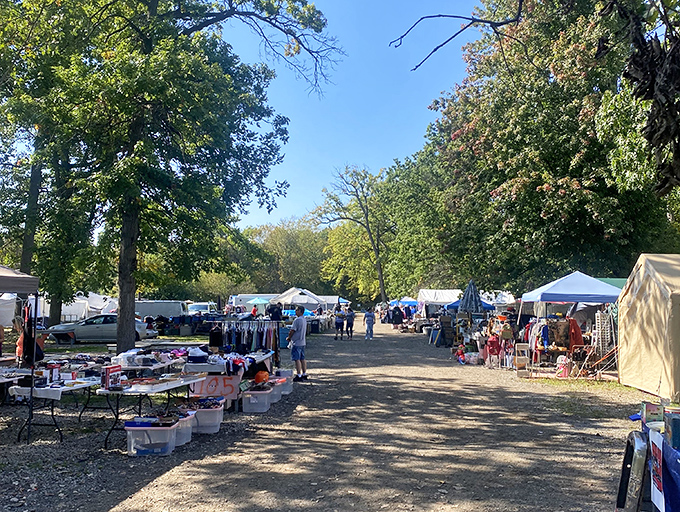 Tree-lined pathways between vendor stalls create a surprisingly pleasant shopping experience, minus the mall parking lot nightmares you've grown to dread.
