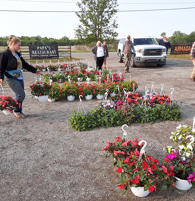 A garden center sprouting in the middle of the market. These hanging baskets could transform any Michigan porch from "meh" to magazine-worthy.