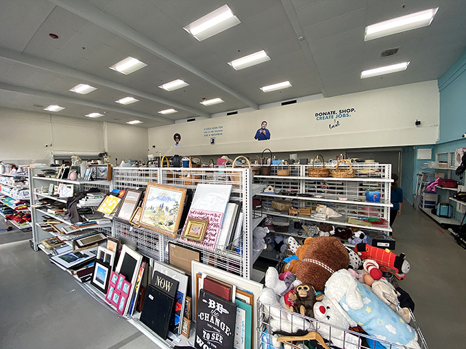 Frames, toys, and nostalgic knickknacks create a museum of memories where yesterday's trends await tomorrow's appreciation.