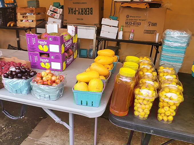 Fresh mangoes, cherries, and homemade honey create an impromptu farmers market within the swap meet&mdash;sustenance for serious shoppers.