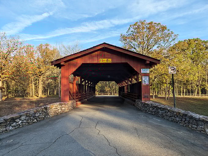 From this angle, the bridge looks like it's posing for its driver's license photo&mdash;and absolutely nailing it on the first try.