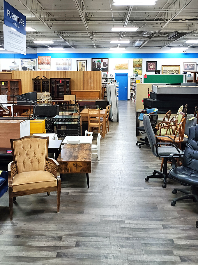 The furniture section sprawls like a showroom where decades of design trends peacefully coexist.