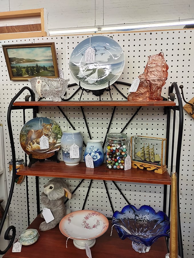 Shelves brimming with curated curiosities&mdash;from wildlife plates to miniature ships&mdash;each item patiently waiting for its "you had me at hello" moment.