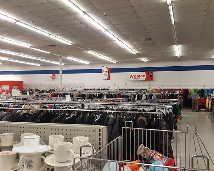 Where housewares meet clothing racks in a retail symphony that keeps bargain hunters returning week after week.