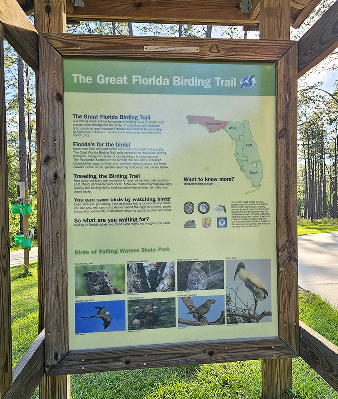 The Great Florida Birding Trail sign &ndash; where bird enthusiasts discover that binoculars are the original zoom lens for nature's finest performers.