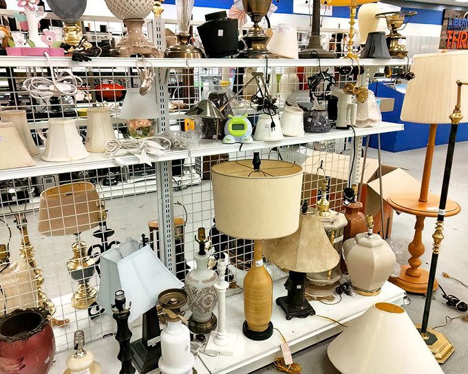 A forest of lamps stands ready to illuminate your life&mdash;from grandma-chic to mid-century modern. Light fixtures with more personality than most dating profiles.