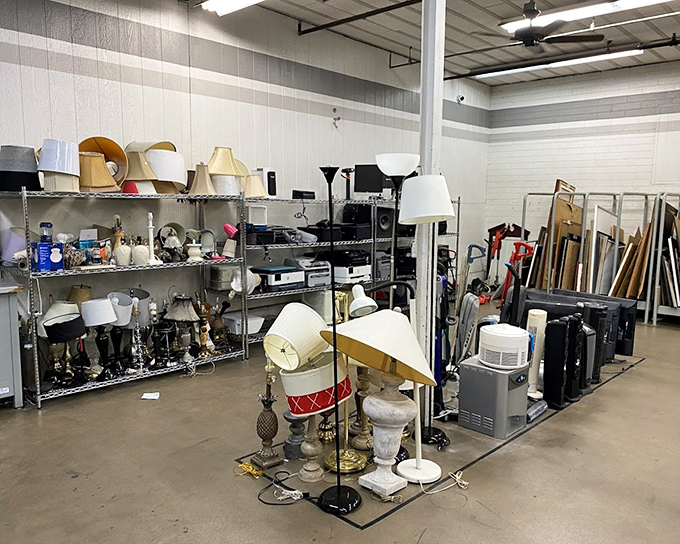 The lamp department shines with possibilities. From grandma-chic to surprisingly modern, these lights have illuminated countless family stories.