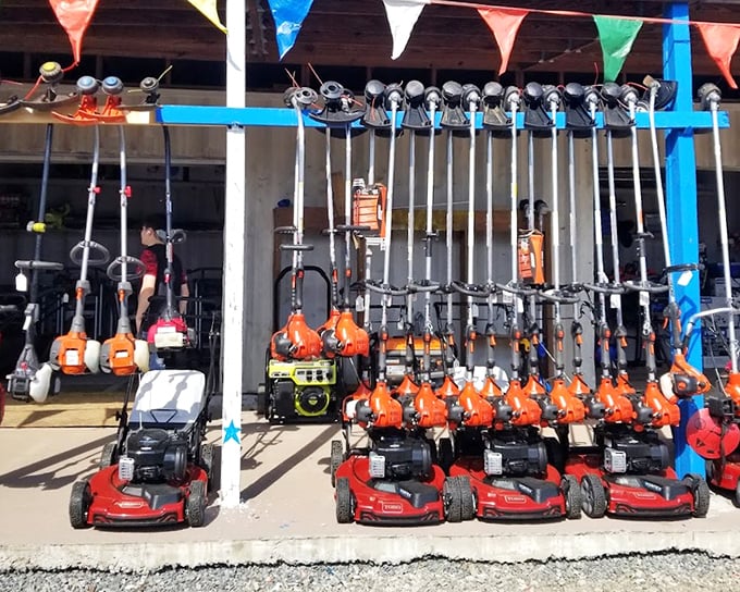 Lawn care arsenal on display &ndash; because nothing says "serious about yard work" like rows of leaf blowers at flea market prices.