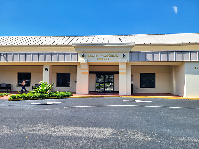 The Eustis Memorial Library isn't just about books &ndash; it's where community happens, one book club, lecture series, and neighborly conversation at a time.