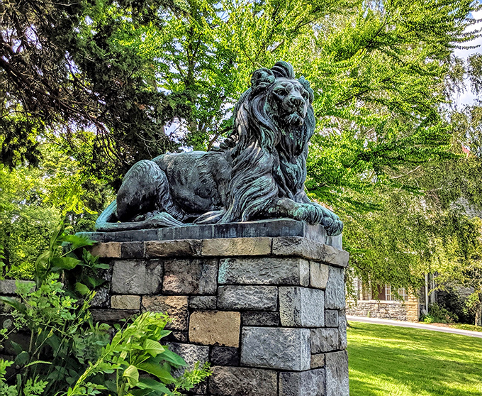 This regal lion statue guards the park with timeless dignity. He's seen countless picnics, proposals, and the occasional seagull attempting to perch on his noble mane.