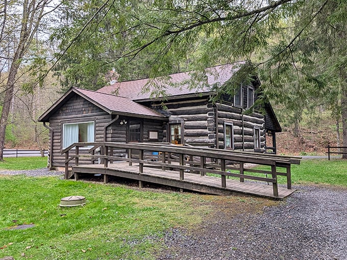 The rustic log cabin stands as a testament to simpler times when "roughing it" actually meant something real.