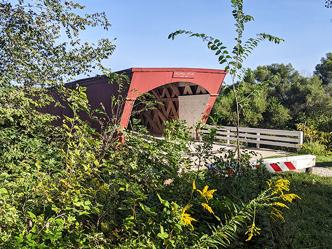 Nature slowly reclaims the edges of human creation, with wildflowers and grasses framing the bridge in a living, breathing portrait.