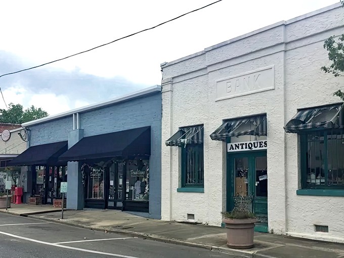 Antique shops line Monticello's streets like time capsules, each storefront promising treasures that survived decades of spring cleanings.
