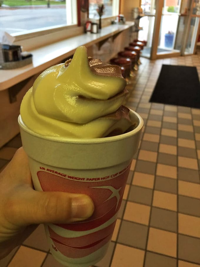 Soft-serve perfection in a paper cup &ndash; the simple pleasure that makes you feel like you're eight years old again, regardless of your actual age.