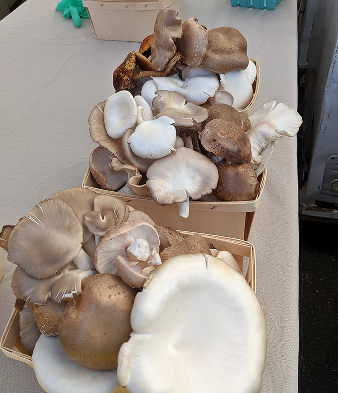 The sign says it all&mdash;fresh roasted peppers and community spirit, served every Saturday. In Boise, weekends begin with farmers, not alarm clocks. 