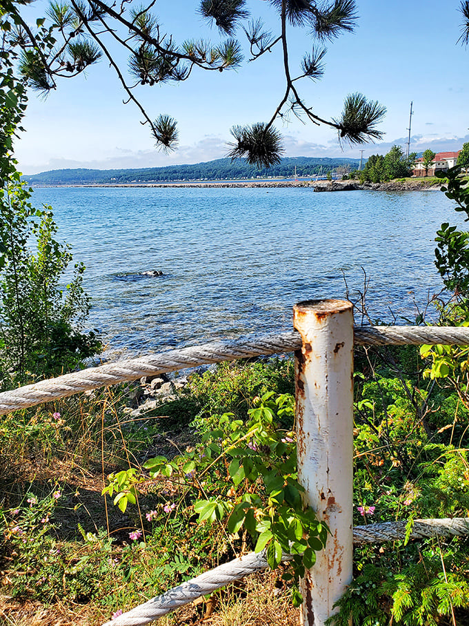 A rustic fence marks the boundary between civilization and wilderness. Beyond it, Lake Superior stretches toward the horizon like a blue highway to forever. 