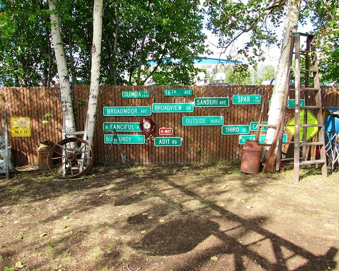 Street signs from Columbia to Burgundy create a roadside poetry collection against birch trees&mdash;directions to everywhere and nowhere simultaneously.