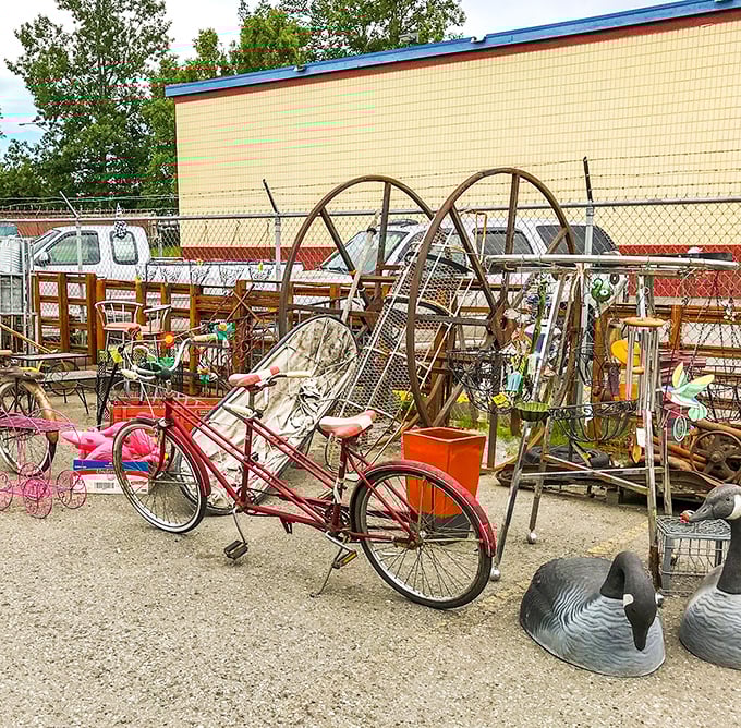 The outdoor treasure trove features vintage bicycles and garden art, where Canada geese decoys wait patiently for their next migration.
