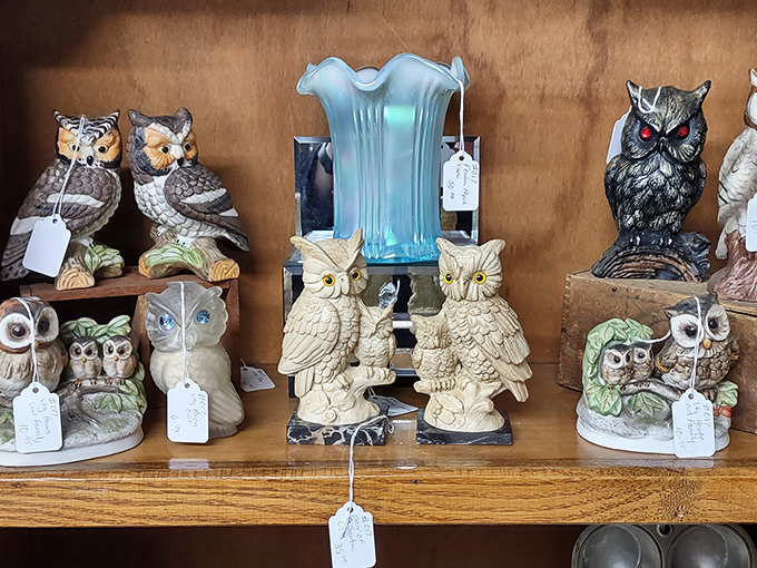 The parliament of ceramic owls stands in session, silently judging your home decor choices with their perpetually surprised expressions.