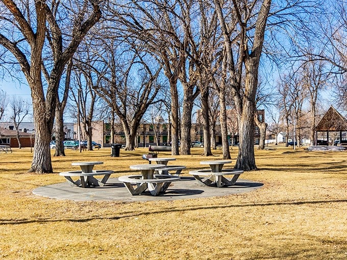 Simple pleasures define Havre's park spaces &ndash; picnic tables under mature trees where conversations and sandwiches are equally satisfying.