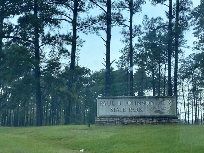 The gateway to your next adventure stands tall among Mississippi pines. This sign doesn't just mark an entrance&mdash;it promises possibilities.
