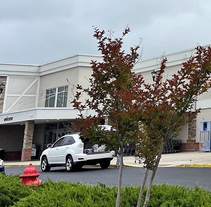 Even the parking lot says "practical luxury"&mdash;convenient spaces for cars filled with empty hangers on the way in, treasures on the way out.