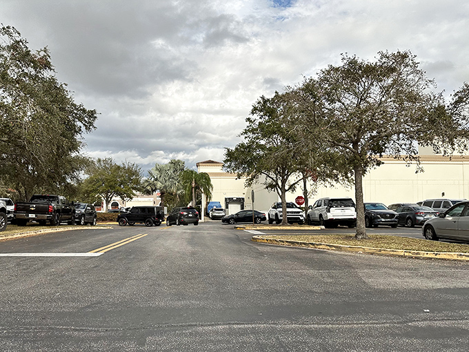 The parking lot&mdash;that first battleground where the quest for deals begins and where you'll hopefully remember where you parked four hours later.