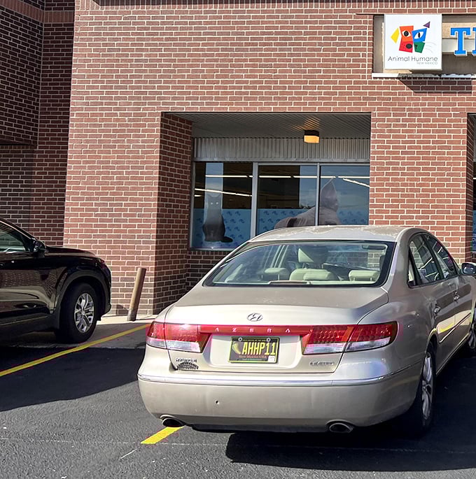 The brick facade welcomes shoppers with its no-frills approach. Like a good poker player, it doesn't reveal the treasures waiting inside.