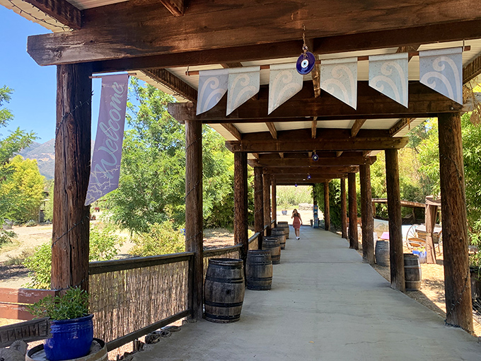 Walking these shaded pathways feels like entering a rustic retreat, where wine country charm meets geological wonder.