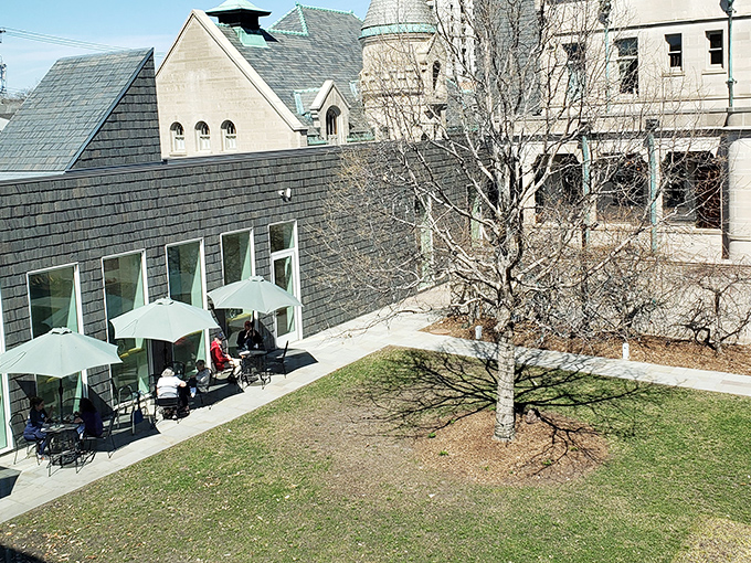The modern Nelson Cultural Center provides a perfect counterpoint to the historic mansion, offering outdoor spaces where visitors can soak up Minnesota sunshine between exhibits.