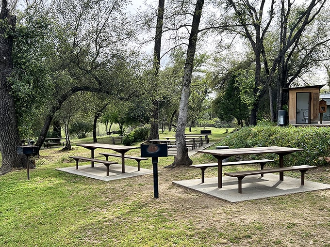 Picnic perfection awaits under shady trees. These tables have hosted countless family gatherings, first dates, and moments of peaceful solitude.