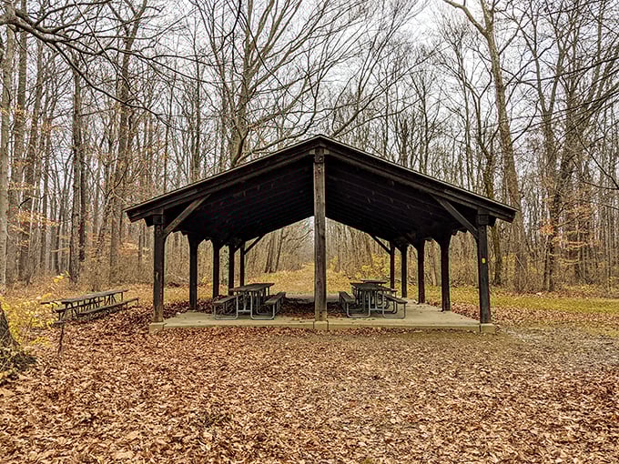 The quintessential picnic pavilion, where family reunions teeter between heartwarming nostalgia and passive-aggressive potato salad comparisons since time immemorial. 