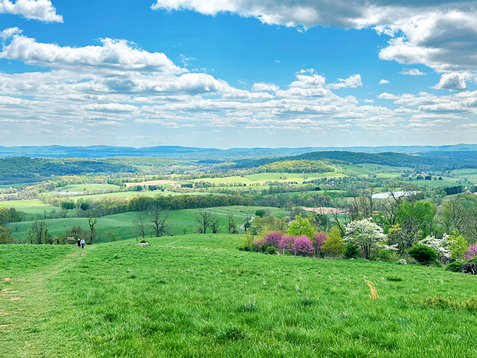 Spring at Sky Meadows arrives like your favorite grandchild &ndash; bringing color, chaos, and pure unbridled happiness.