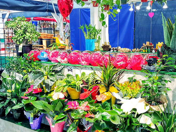 A verdant oasis amid the commerce, where plant lovers can find everything from practical succulents to statement-making tropical blooms.