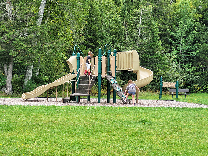 Where kids burn off energy while parents secretly wish they could join in. This playground offers the perfect excuse to be a child again.