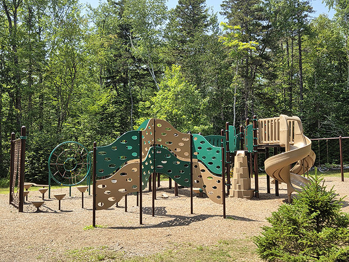 Nature's version of an arcade, where the games never need quarters and the prize is always fresh air and children's laughter echoing through the pines.
