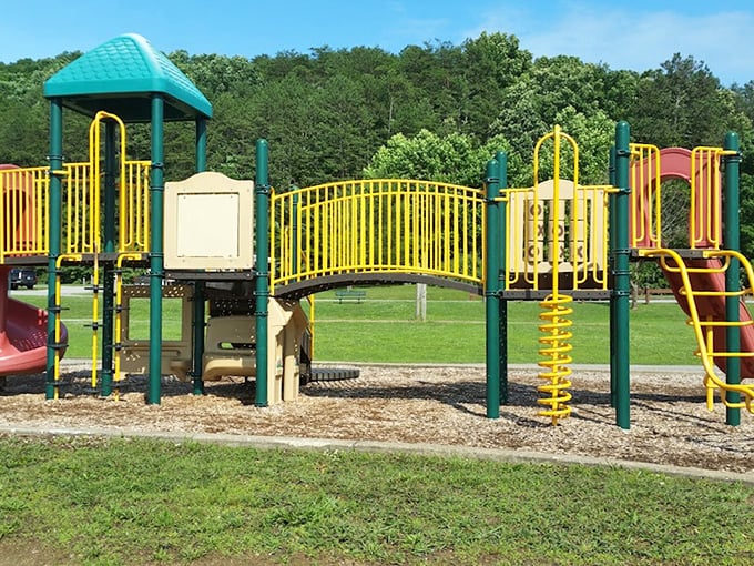 Childhood joy engineered in primary colors. This playground proves kids don't need Wi-Fi when there are slides, bridges, and imagination.