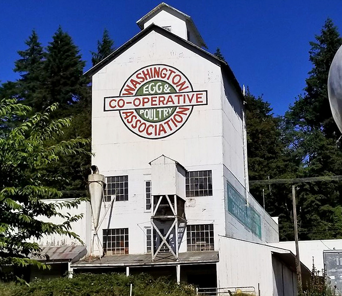 The Washington Egg & Poultry Co-operative Association building tells the story of when Winlock was truly the egg basket of the Pacific Northwest.