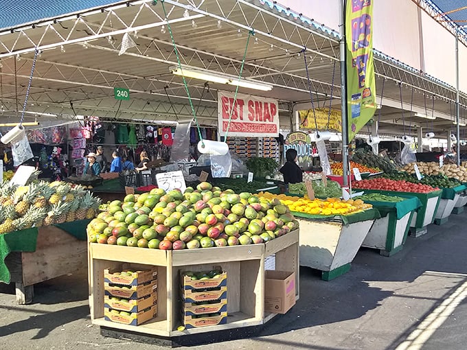 Fruit so fresh it makes grocery stores look like they're selling plastic imitations. Nature's candy arranged in a rainbow of vitamin-packed possibilities.