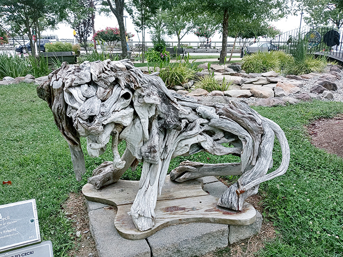 Driftwood transformed into art&mdash;this seaside sculpture proves Mother Nature might be the most talented artist in Maryland.