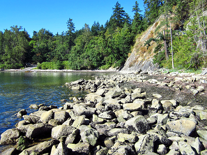 Nature's sculpture garden: these wave-polished stones have been arranged by tides and time into a masterpiece no human artist could replicate.