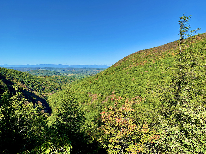 The reward beyond the falls: panoramic Berkshire views that stretch across three states, making even the most dedicated phone-scrollers look up in wonder.