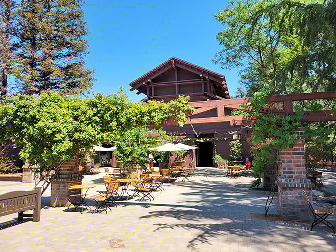 Shaded benches under massive oaks offer front-row seats to nature's show without requiring an actual ticket purchase.
