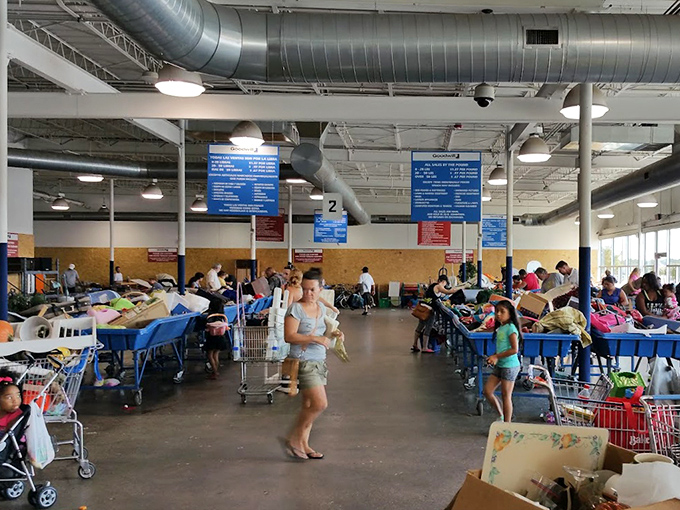 The dance of the determined thrifter. Shoppers navigate the aisles with practiced precision, carts at the ready for unexpected discoveries.